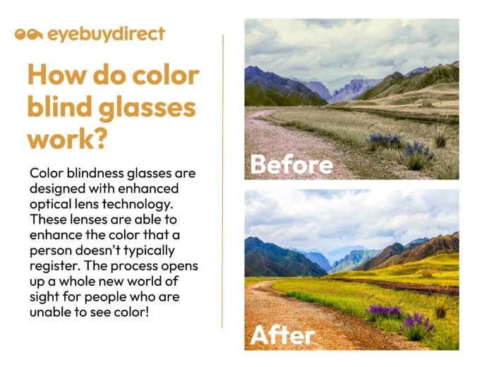 Can Color Blind Glasses Help You See Color? | Blog | Eyebuydirect