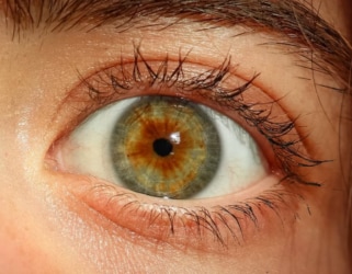 What Is The Rarest Eye Color? | Blog | Eyebuydirect