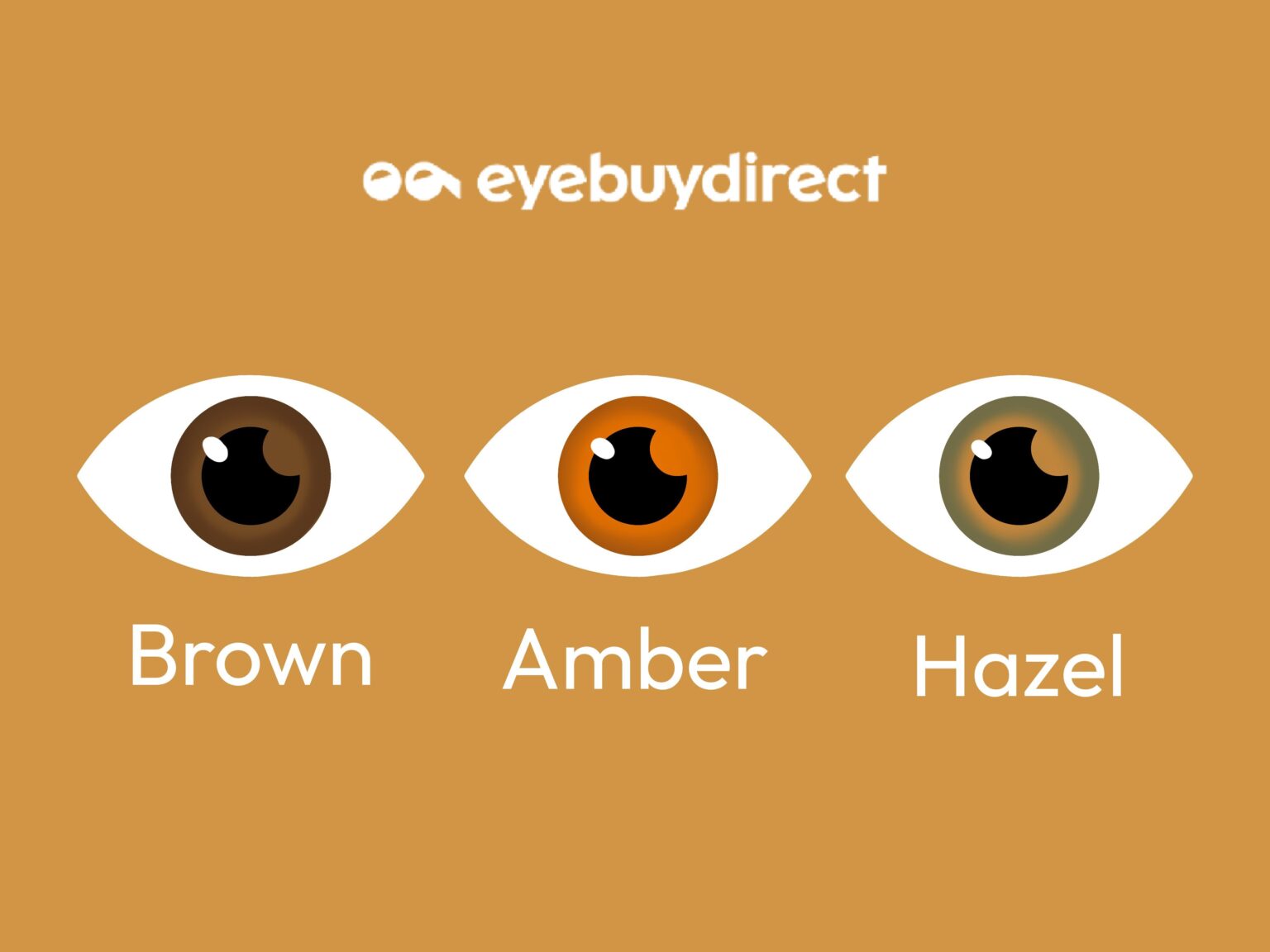 Amber Eye Color | Blog | Eyebuydirect