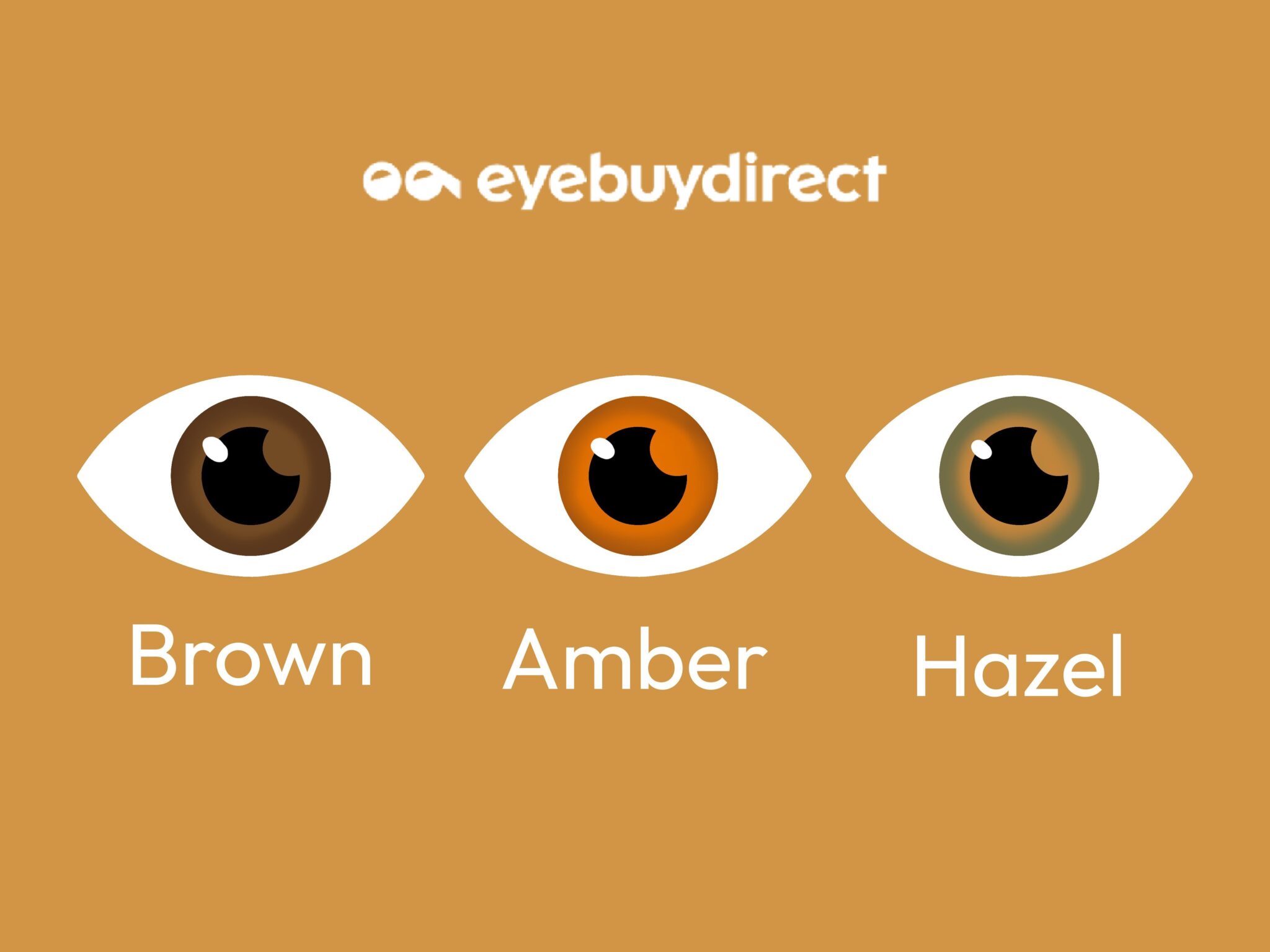 Amber Eye Color | Blog | Eyebuydirect