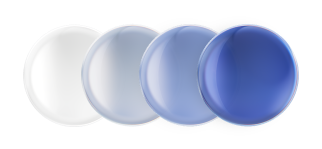 Transition Lenses | Prescription Transition Glasses | Eyebuydirect Canada