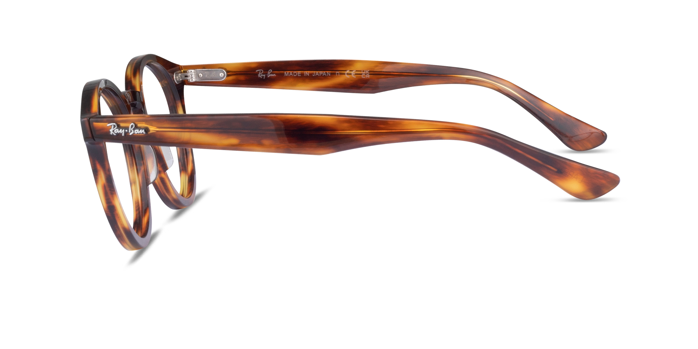 Ray-Ban RB7680V Larry - Round Striped Tortoise Frame Eyeglasses ...