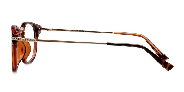 Monaco Brown & Tortoise Glasses for Women | Eyebuydirect