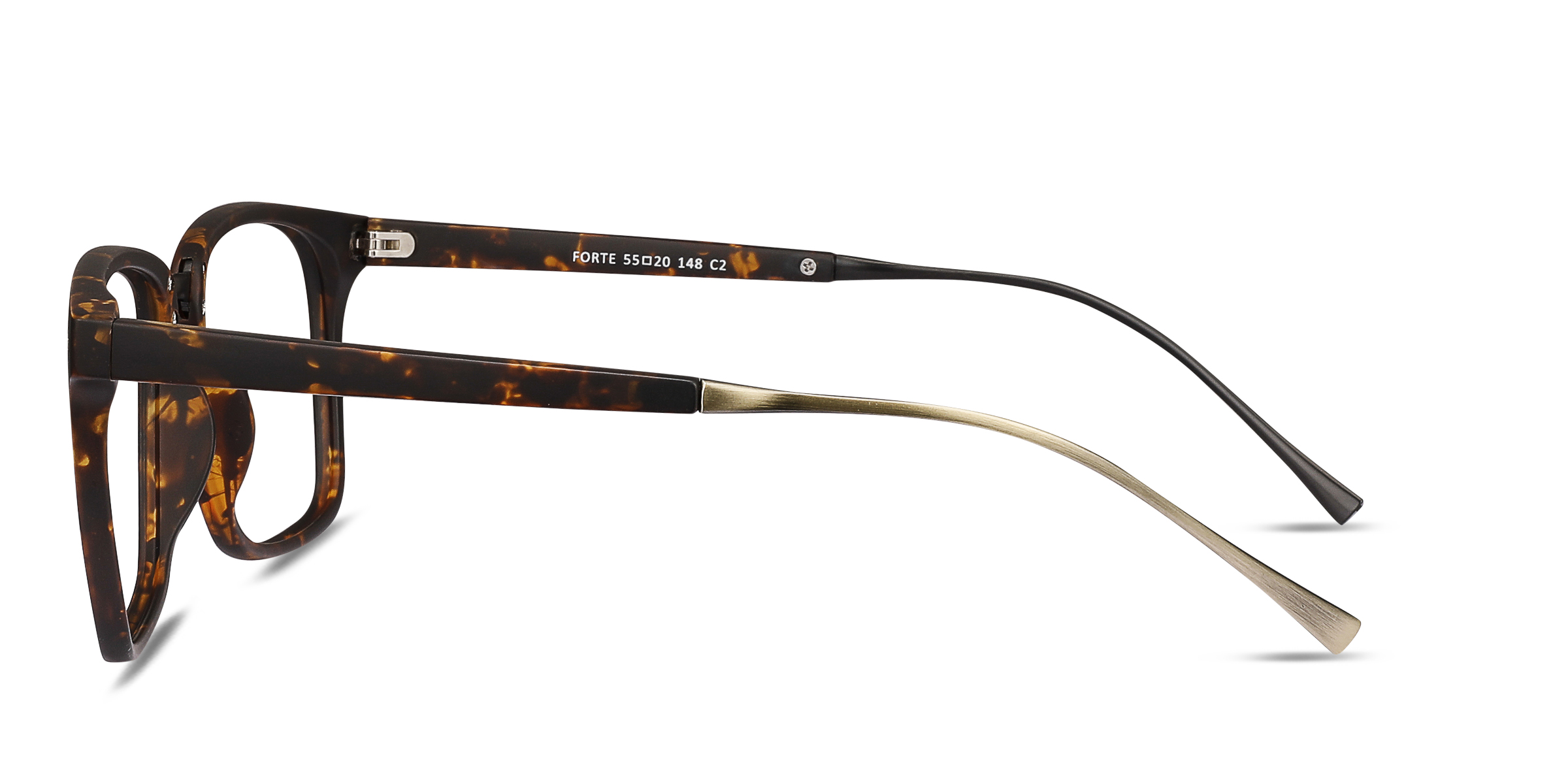 Forte - Big Bold Frames with Lightweight Feel | Eyebuydirect