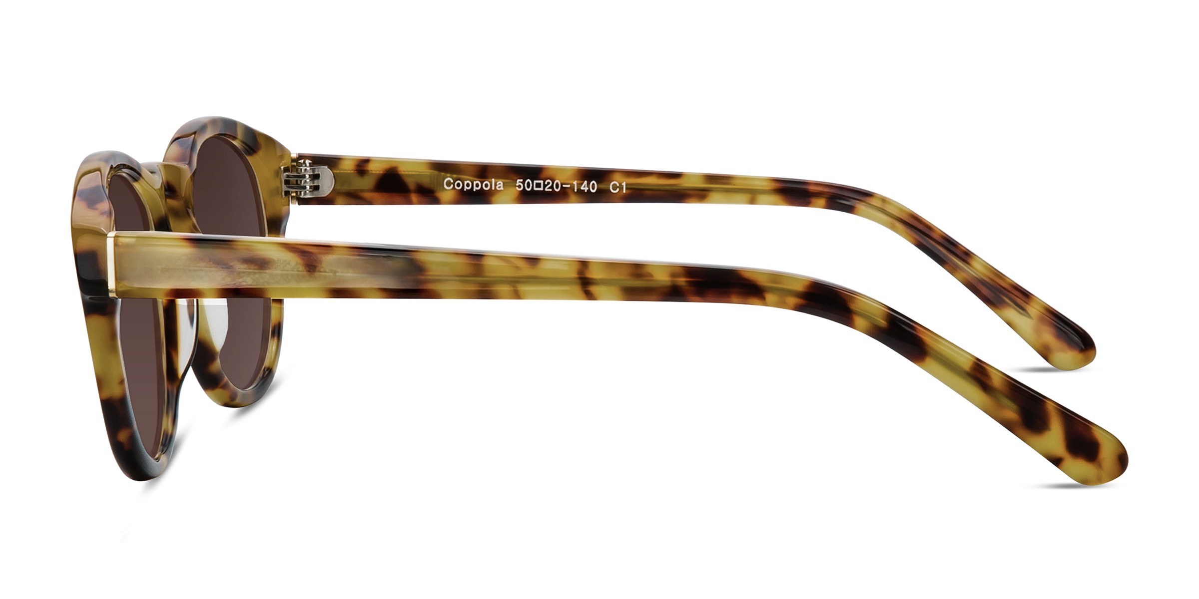 Coppola - Round Brown & Tortoise Frame Sunglasses For Women | Eyebuydirect