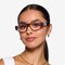 Tempora Cat Eye Crystal Brown Full Rim Eyeglasses | Eyebuydirect